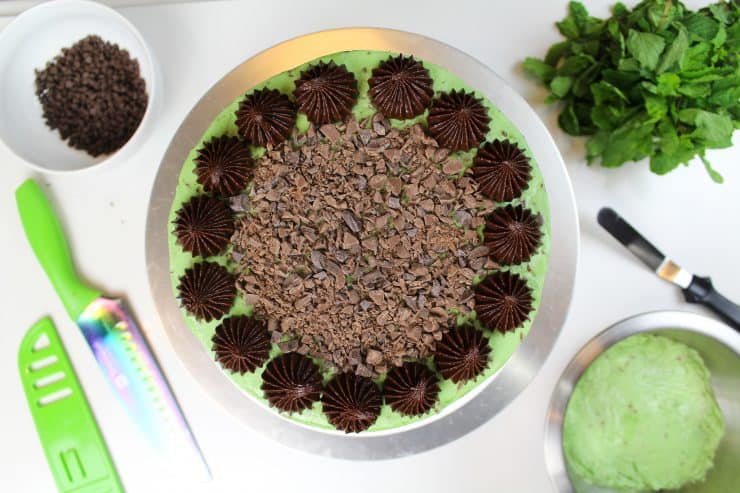 Mint Chocolate Chip Cake: Recipe and Tutorial - Chelsweets