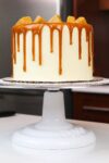 Caramel Drizzle Recipe: Easy 5 Minute Recipe - Chelsweets