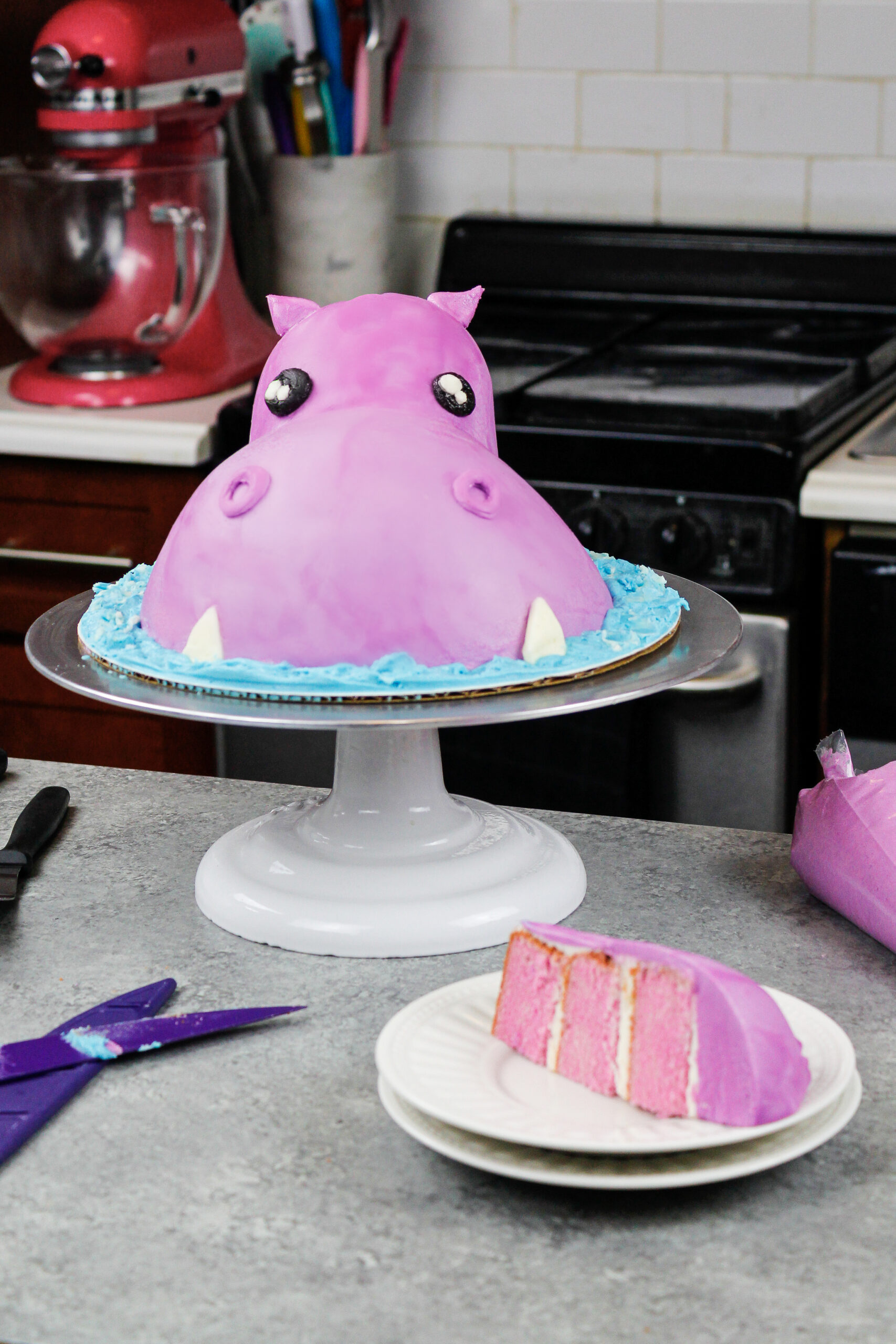 Hippo Cake: Easy Recipe and Step by Step Tutorial
