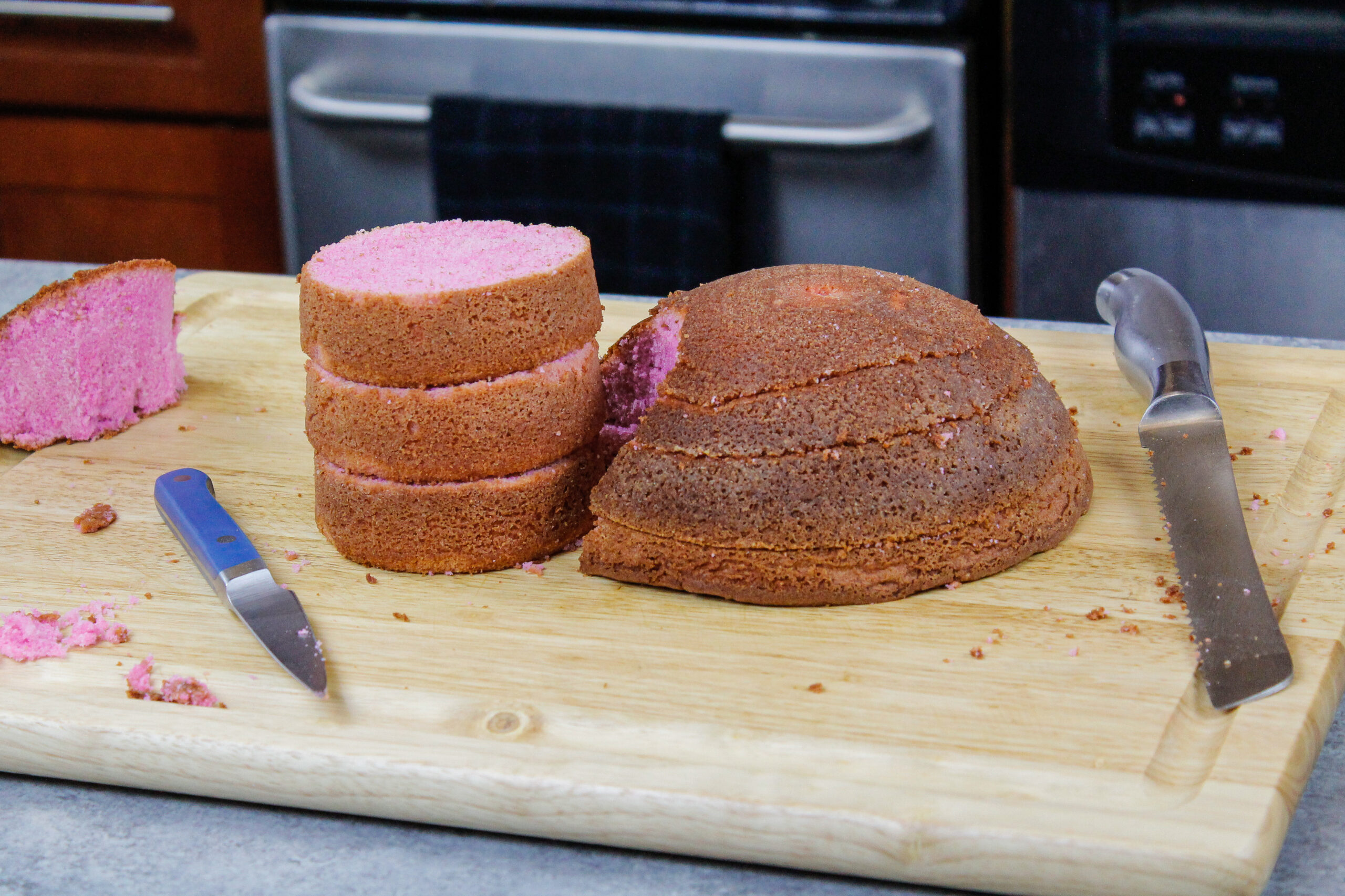 Hippo Cake: Easy Recipe and Step by Step Tutorial
