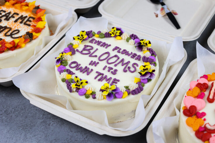 Lunch Box Cakes - Simple & Adorable Cake Recipe