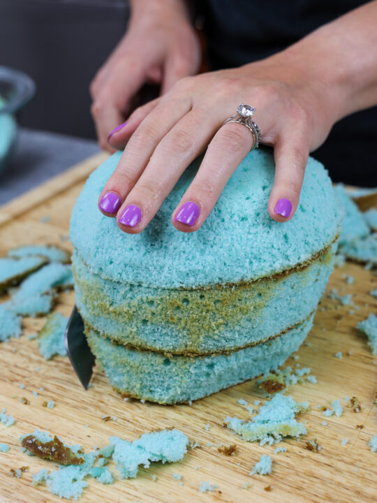 Narwhal Cake: Easy & Adorable Cake Recipe and Tutorial