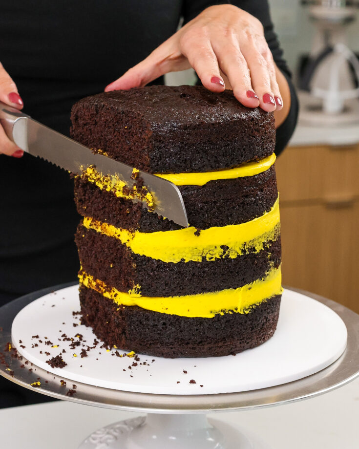 Bumblebee Cake: Recipe & Step-By-Step Tutorial