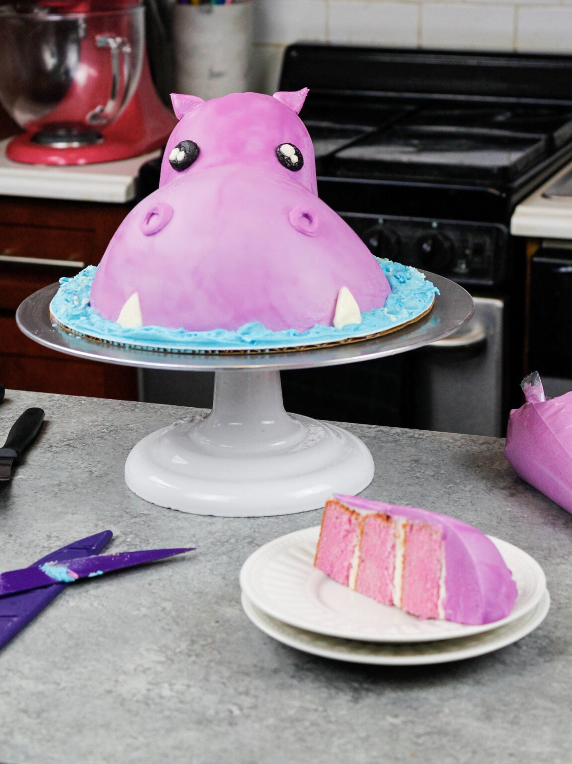 Hippo Cake: Easy Recipe and Step by Step Tutorial