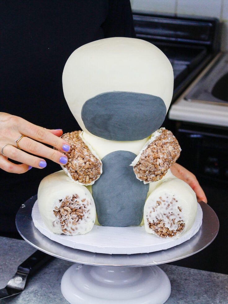 Zebra Cake: Adorable Cake Recipe & Tutorial - Chelsweets