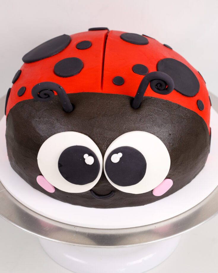 Ladybug Cake - The Perfect Cake for Spring