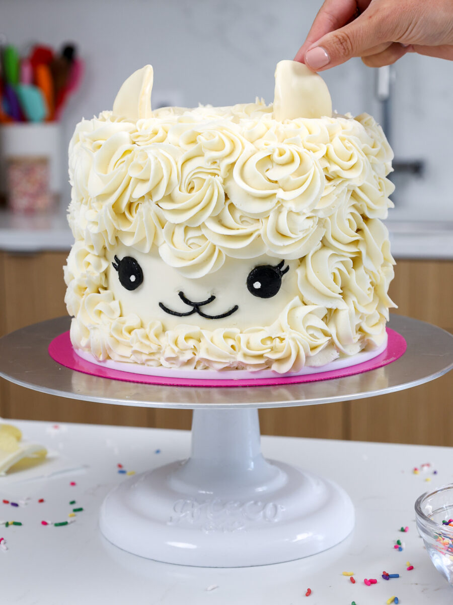 Easy Llama Cake: Delicious Recipe & Step-By-Step Tutorial