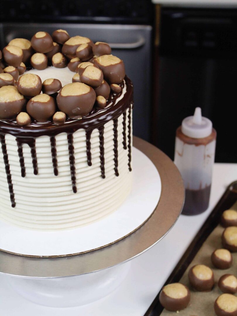 Buckeye Cake: Moist Chocolate Cake w/ PB Frosting - Chelsweets