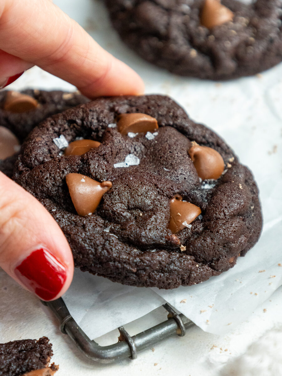 Double Chocolate Cookies: Soft, Chewy Cookie Recipe