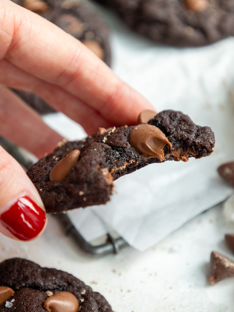 Rich Double Chocolate Cookies (Easy Recipe!)