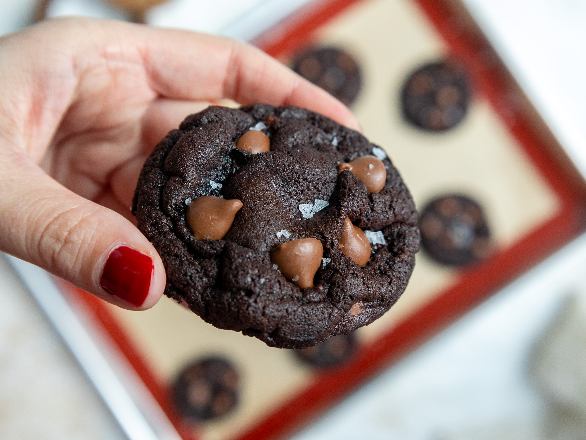 Rich Double Chocolate Cookies (Easy Recipe!)