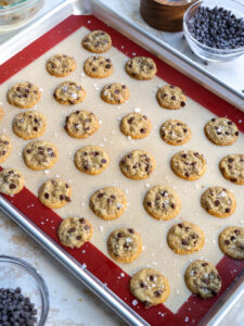 Easy Mini Chocolate Chip Cookies (No Chill Dough!)