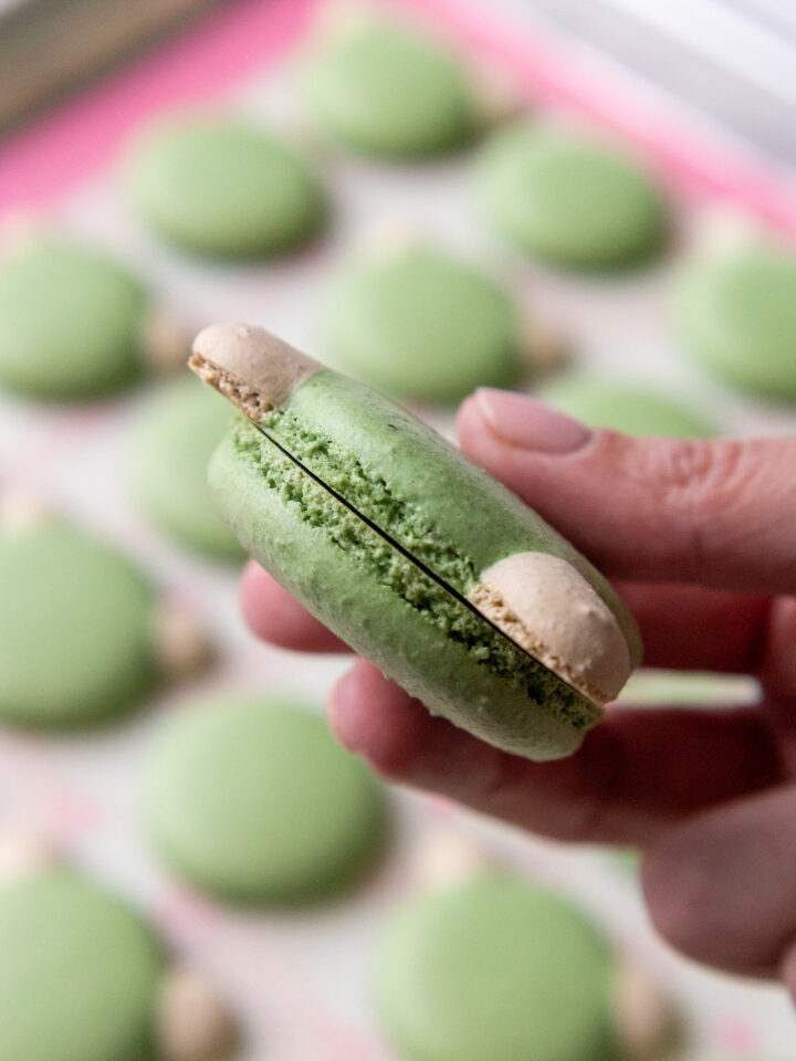 Frog Macarons: Delicious Recipe w/ Video Tutorial