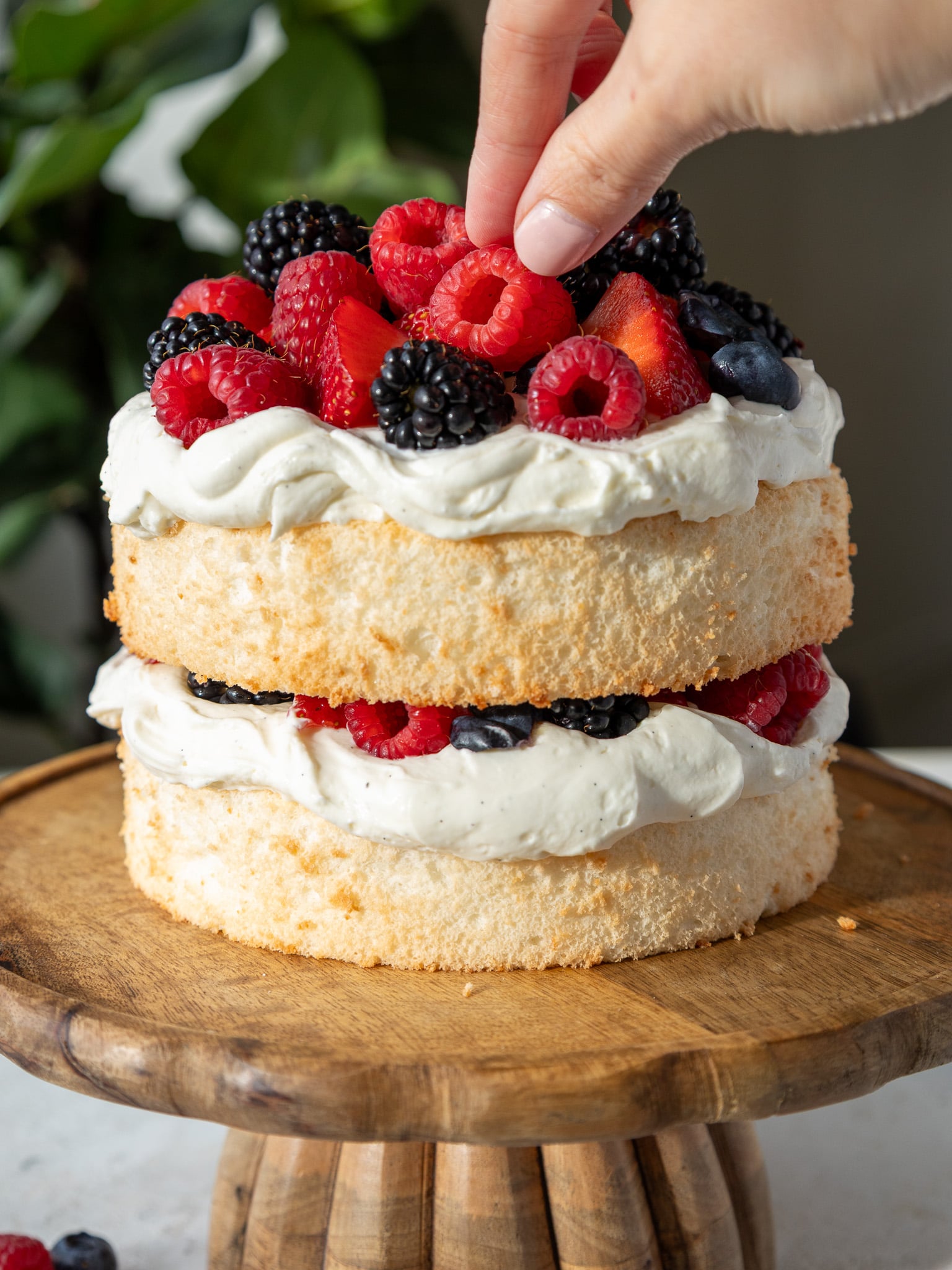 Smash Cake: Angel Food Cake w/ Whipped Cream Frosting