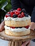 Cake Recipes - Chelsweets